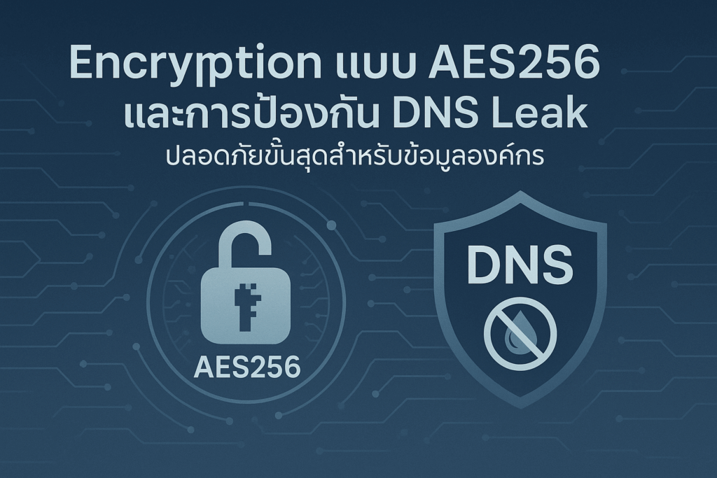 Encryption AES256 และการป้องกัน DNS Leak เพิ่มความปลอดภัยสูง